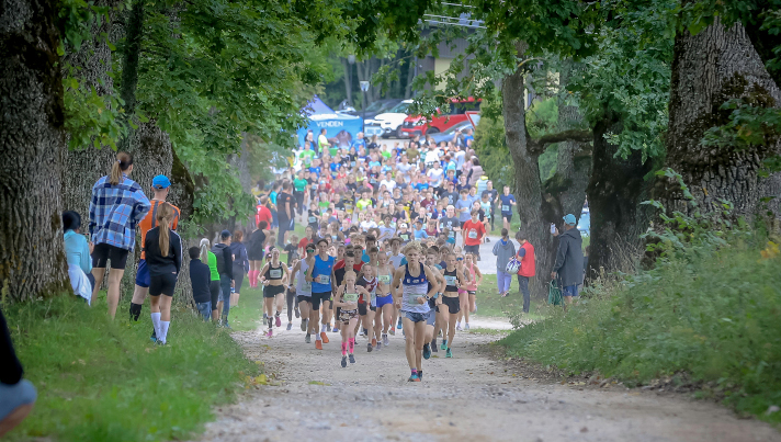 Jaunumi | Stirnubuks.lv